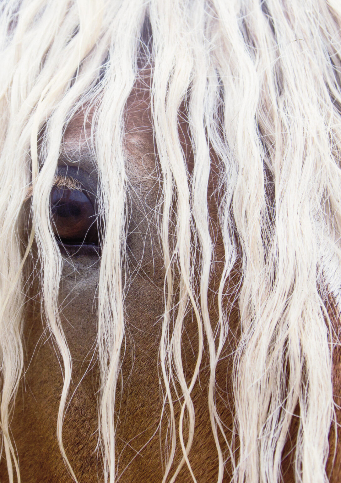 Barbara Simons - B-Side Arts Festival