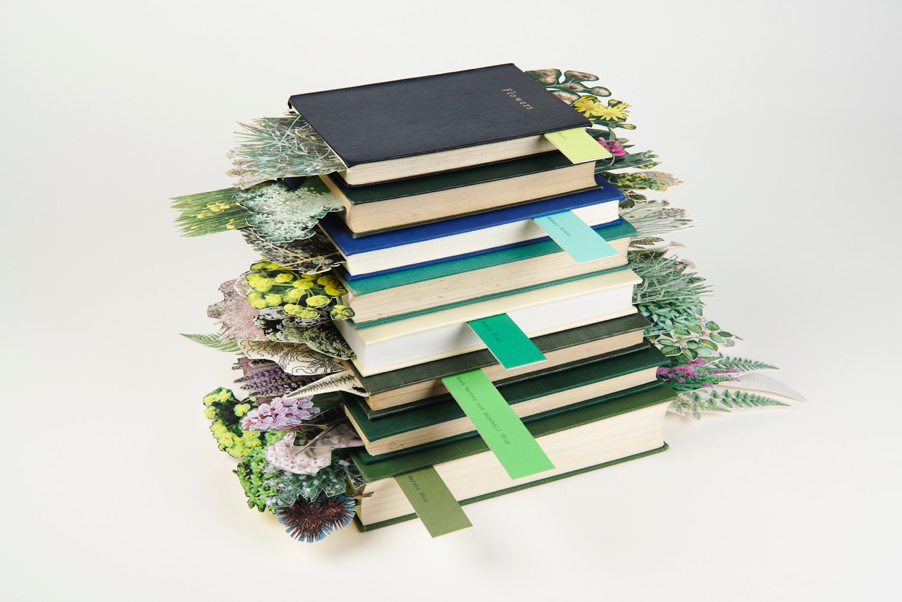 Meet artist Emily Tracy - B-Side Arts Festival